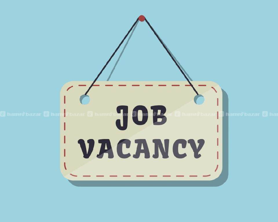 Buy social media handler in Nepal - Hamrobazar